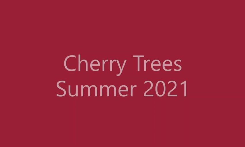 Cherry Trees Nursery School - Summer Term 2021 singing