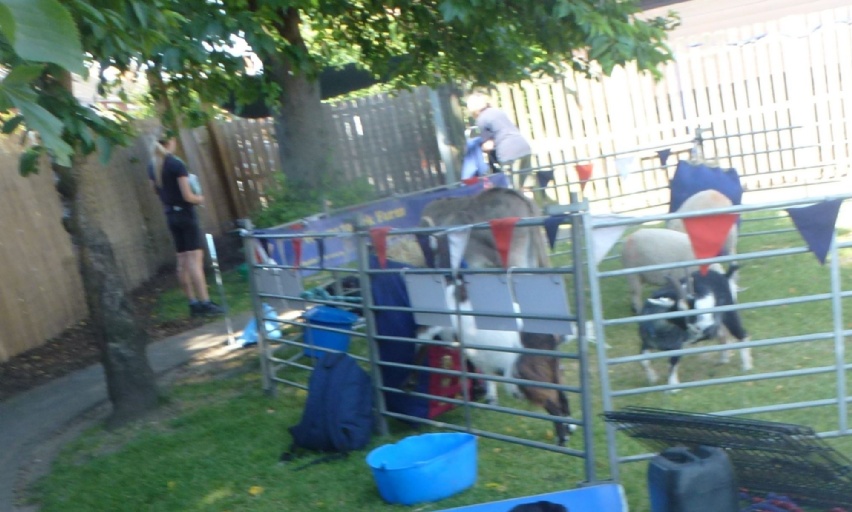 Cherry Trees Nursery School - Ark Farm 24th of June!